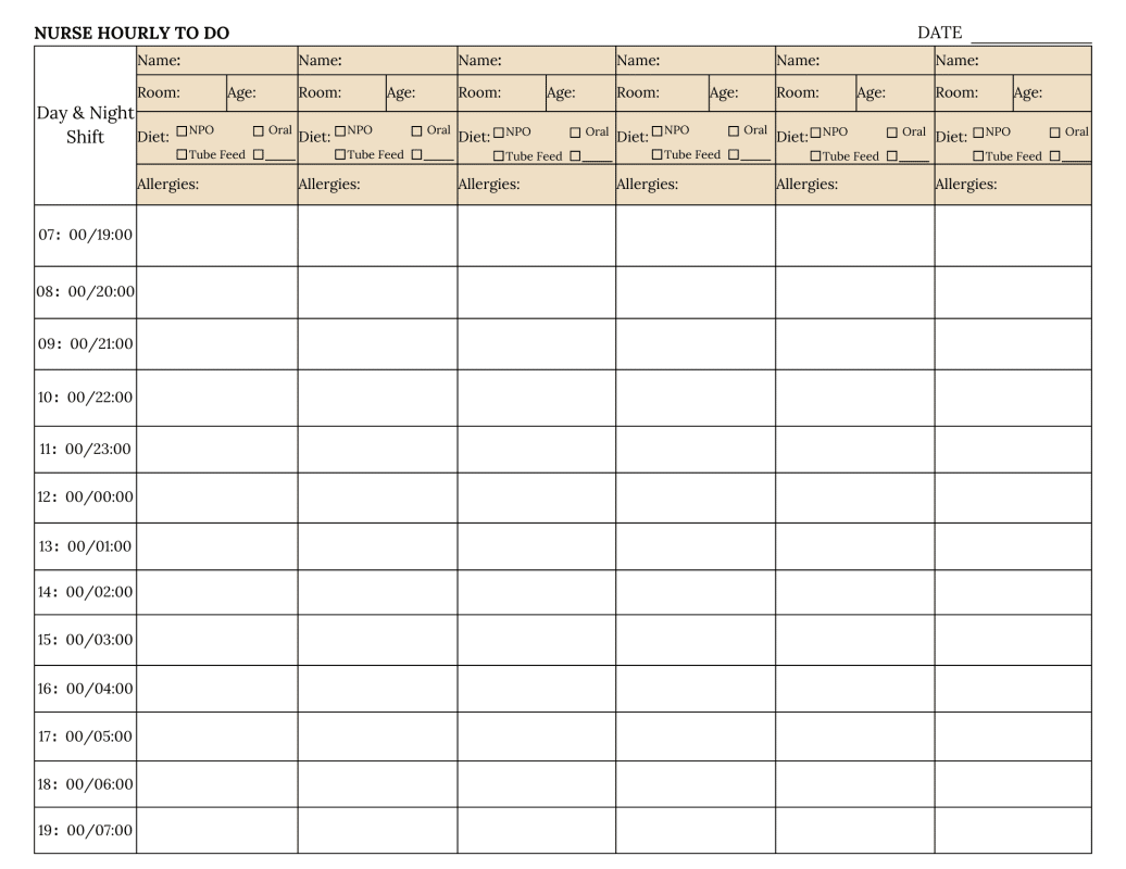 6 Patient Nurse Hourly To Do Shift Planner